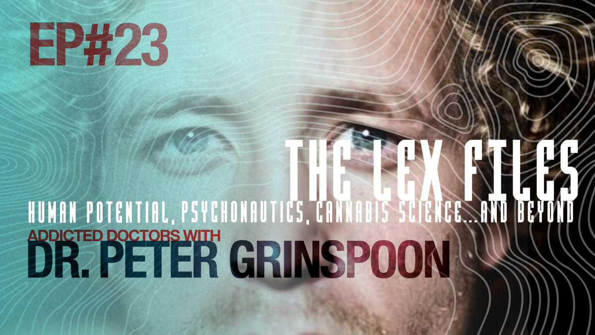 Addicted Doctors with Peter Grinspoon - Lex Pelger